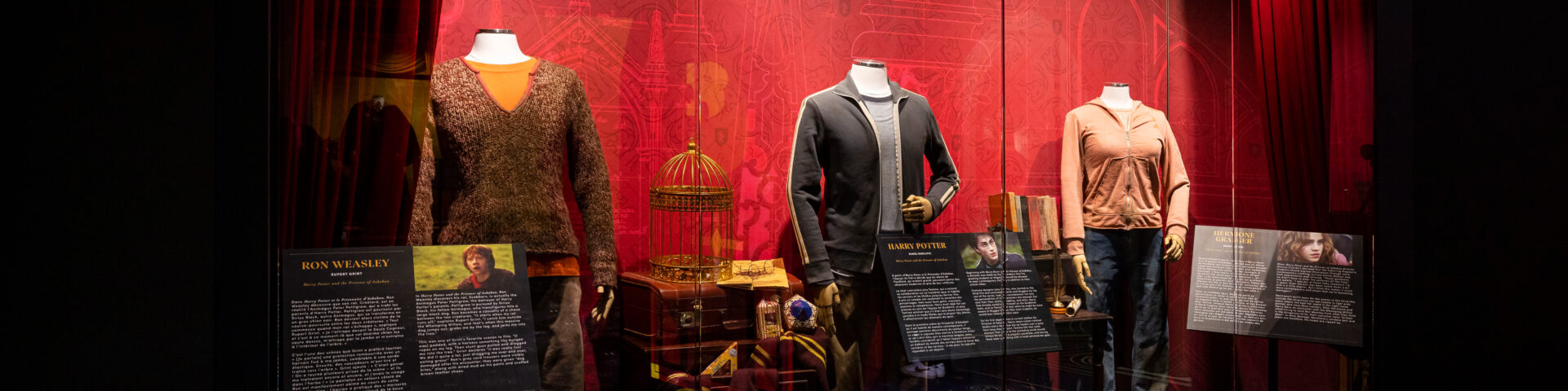EXPOSITION HARRY POTTER DE PARIS : Une expérience magique et captivante ...