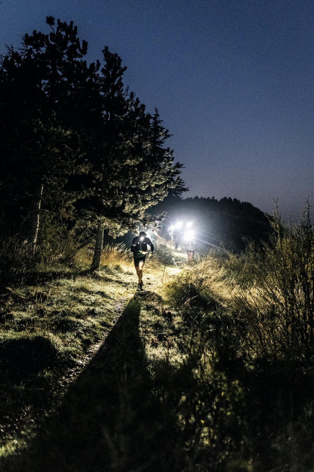 HOKA LES TEMPLIERS 2025-BOFFY FIFTY-COURSE-1©Cyrille Quintard - ZEITBLATT